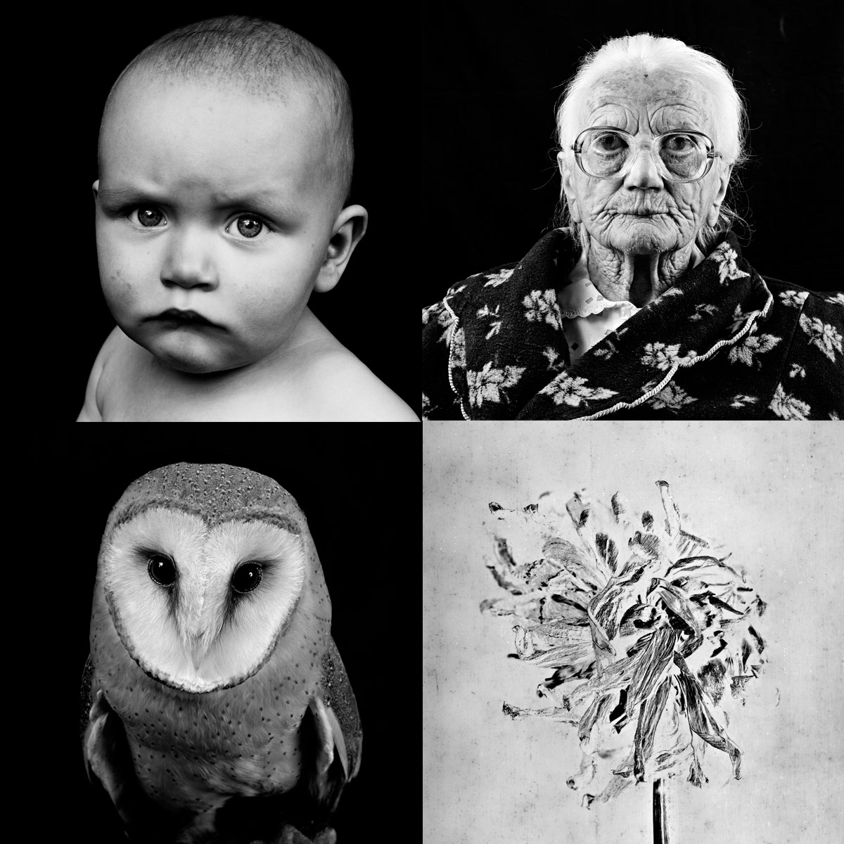 Walter Schels – Internationales Festival Fotografischer Bilder in ...